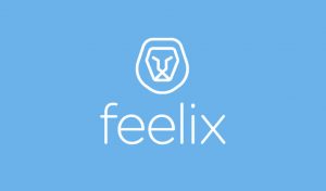 feelix financial app
